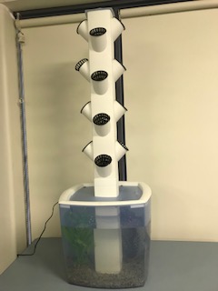 Science Lab Aquaponic Fish Tank – Mary Immaculate, Ivanhoe